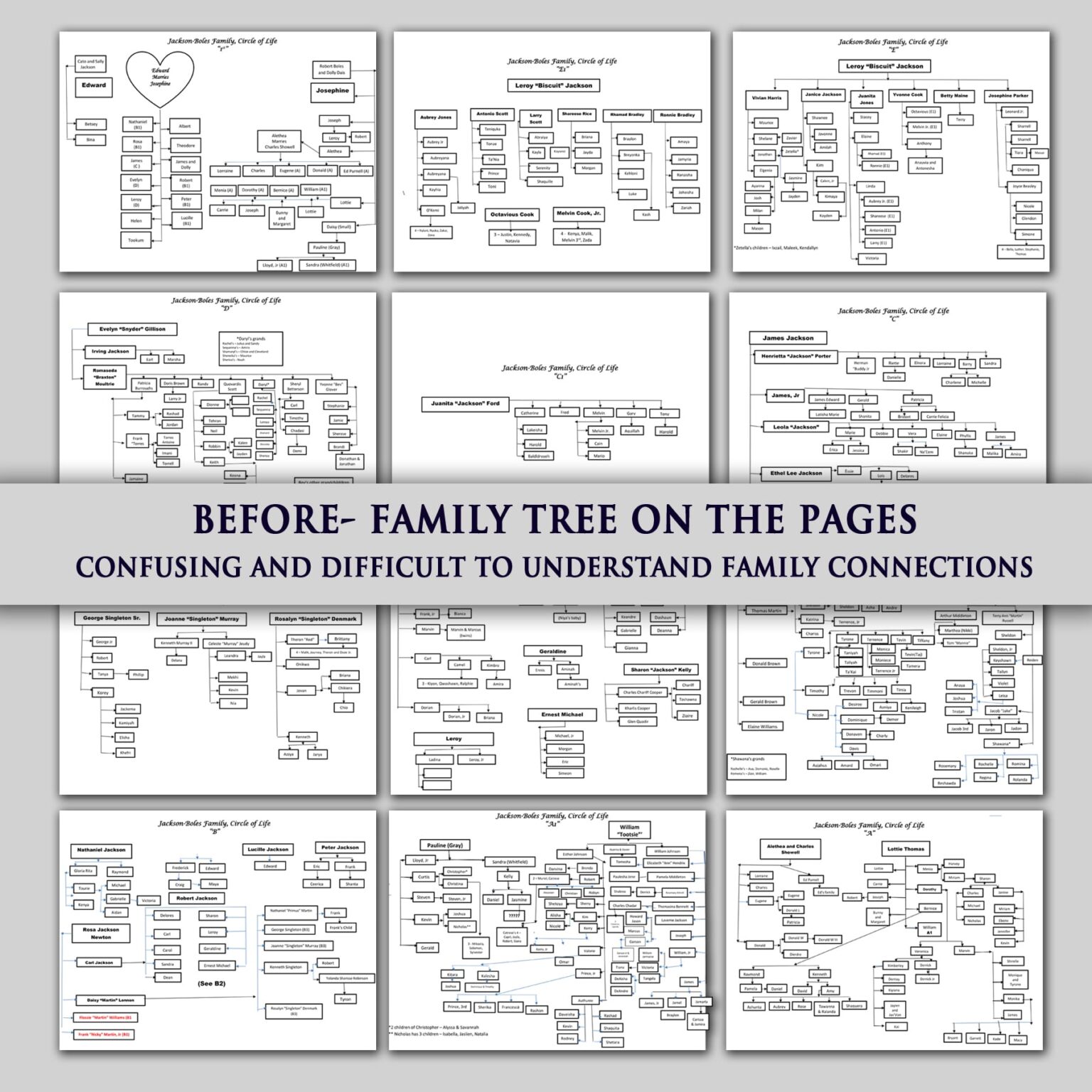 Family Reunion Trees | Custom Family Tree Designs for Gatherings